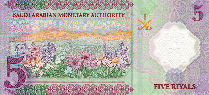 Saudi Arabia's banknotes - The banknote Numizon catalog